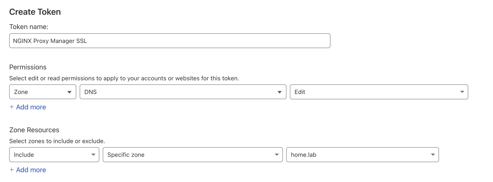 Homelab Networking (Cloudflare, NGINX, & Split DNS) - Carter Roeser